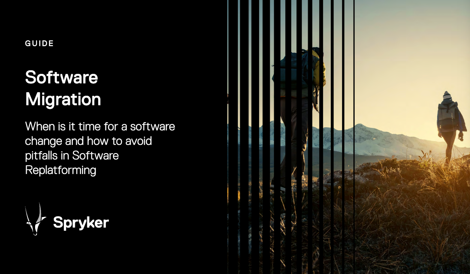 Software Migration with Spryker