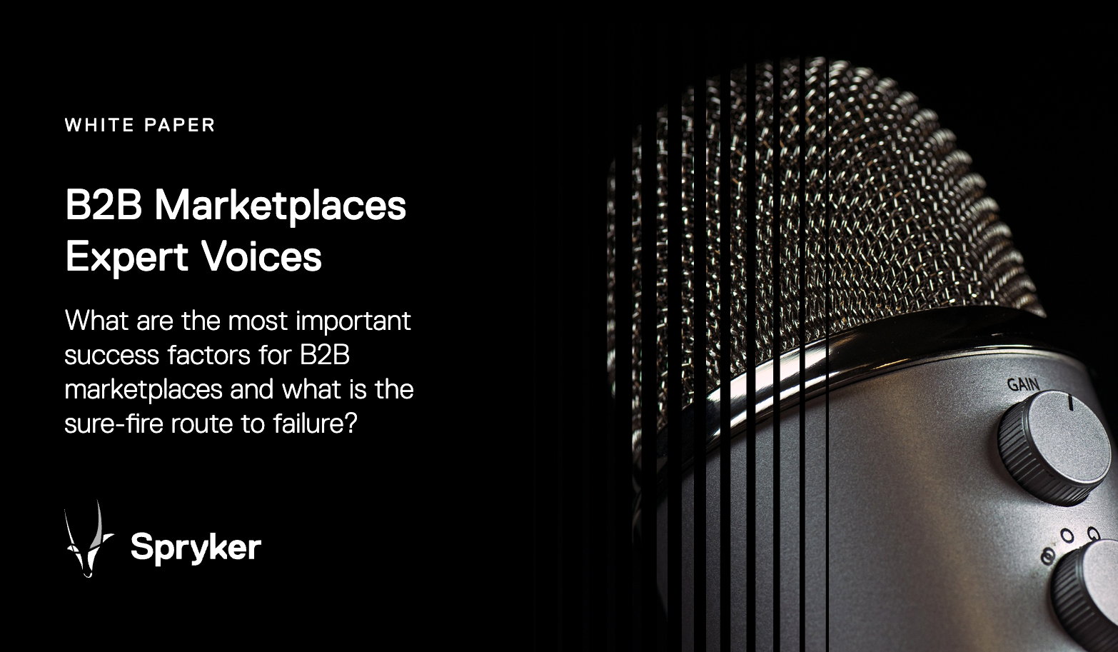 B2B Marketplaces Expert Voices