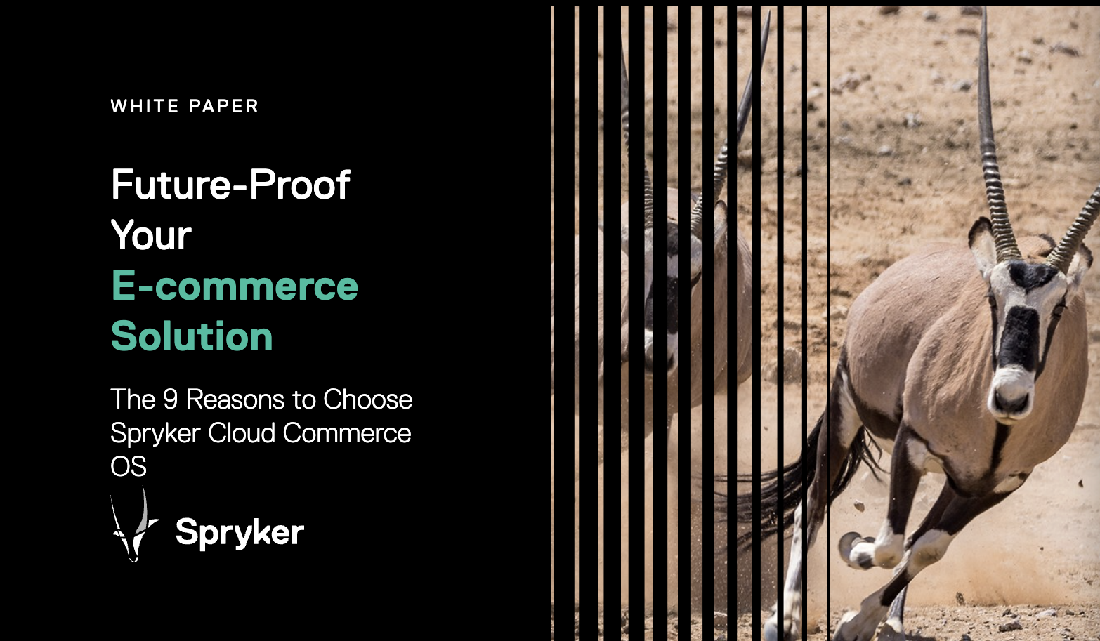 Future-Proof Your E-commerce Solution: 9 Reasons to Choose Spryker